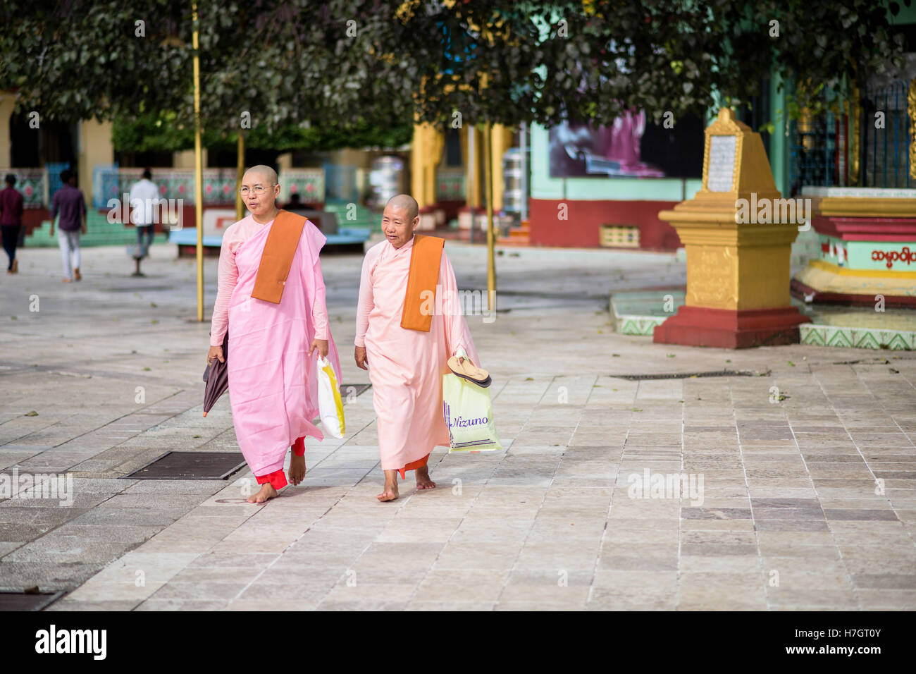 Female monks in pagoda complex in Bago, Burma Stock Photo - Alamy