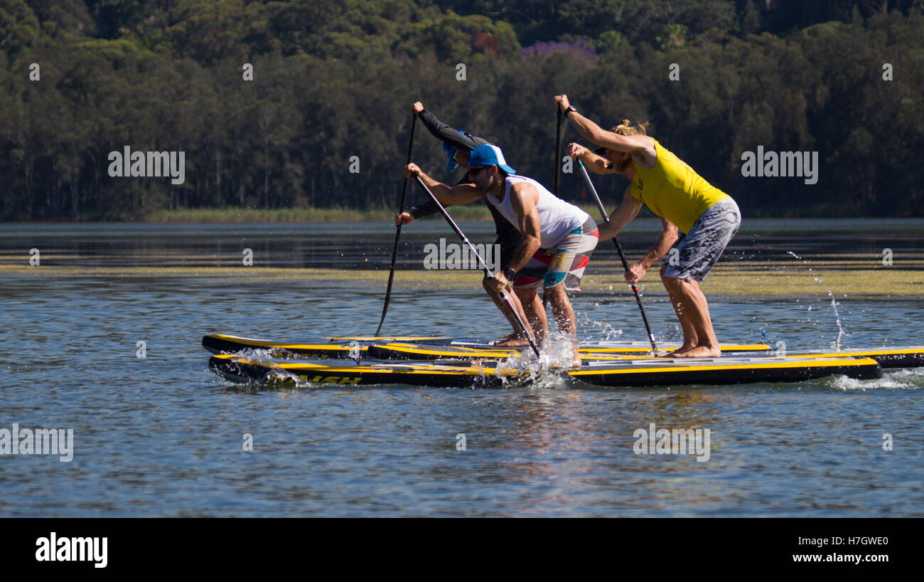 Sydney, Australia. 4th Nov, 2016. Stand Up Paddle Board (SUP) racers ...