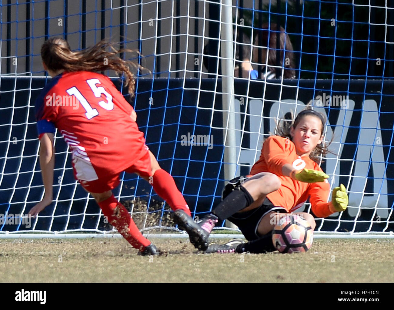 Maddy Myers Weightlifting Clipart
