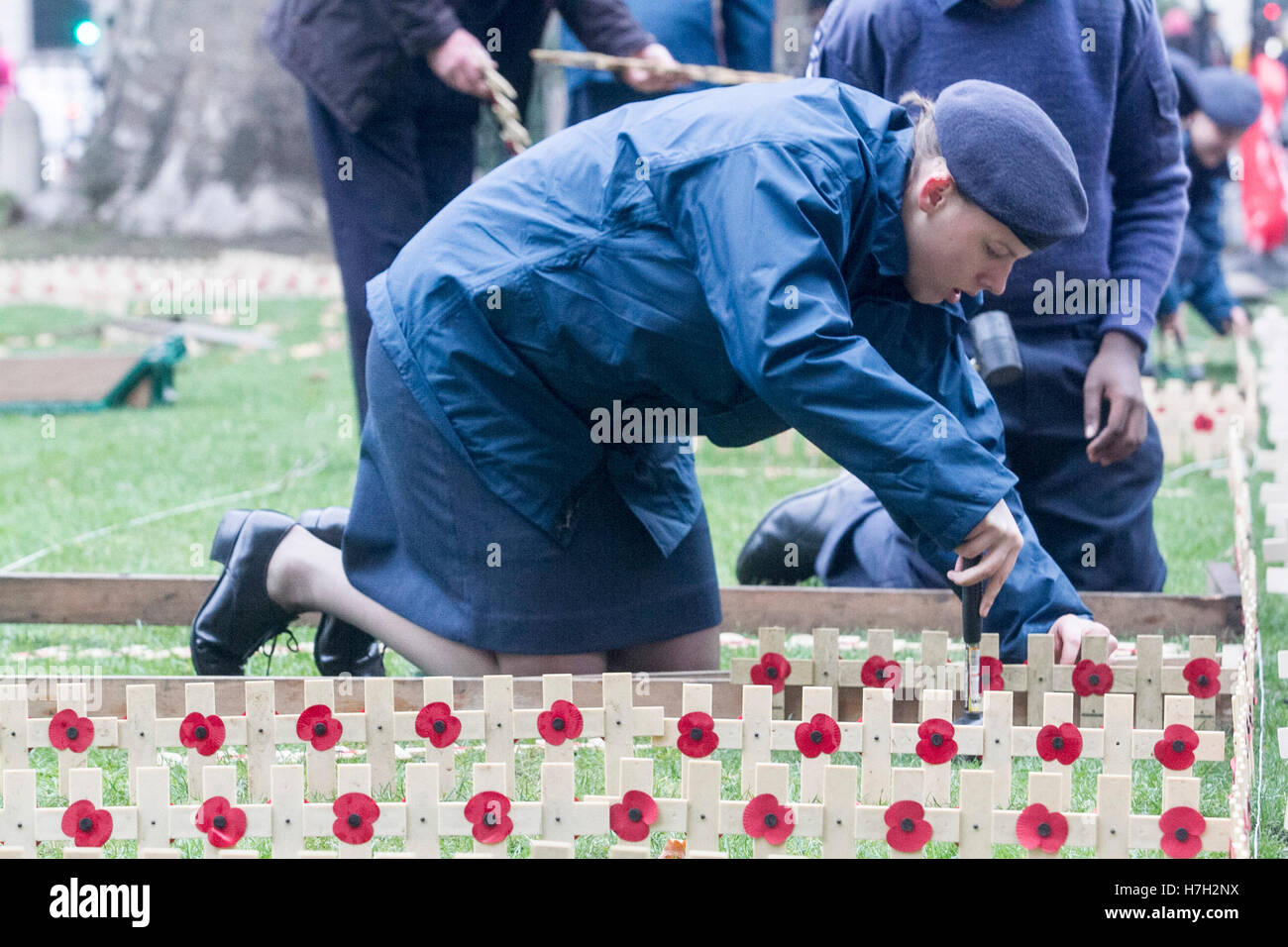 London, UK. 5th Nov, 2016. British Legion volunteers plant remembrance ...