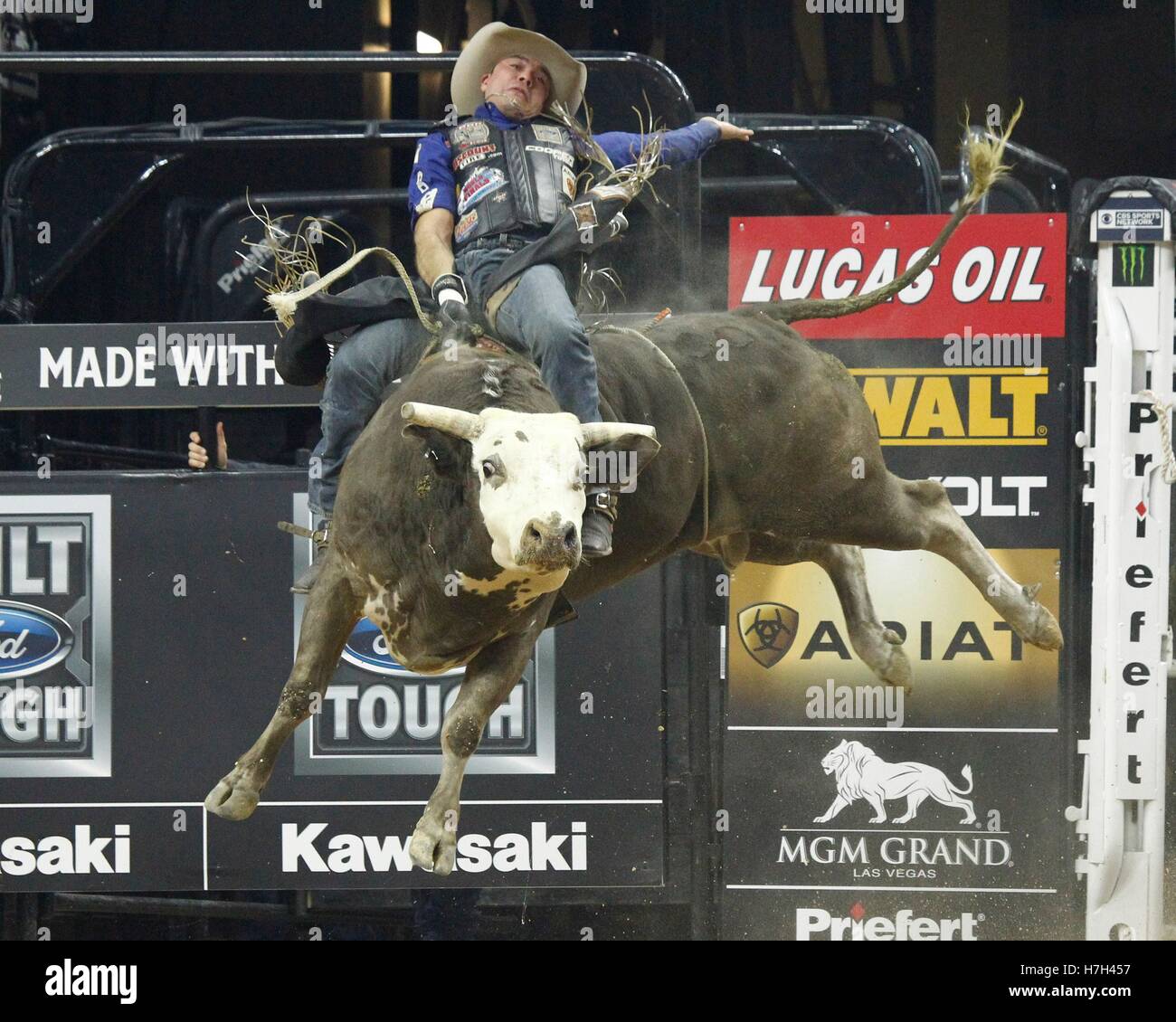 Lab rat hi-res stock photography and images - Alamy