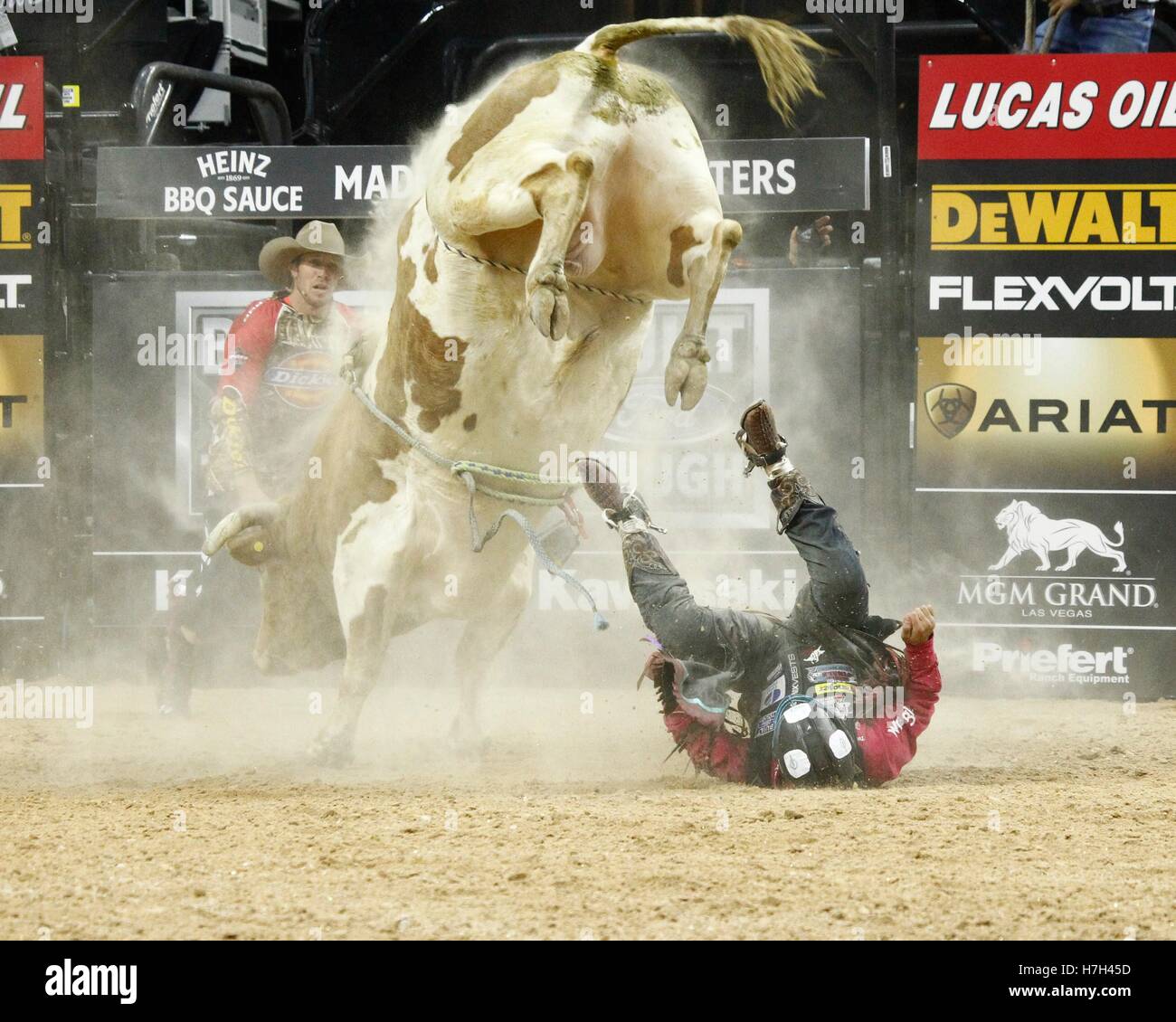 Las Vegas, NV, USA. 4th Nov, 2016. Mike Lee and the bull 'VJV Nailed ...