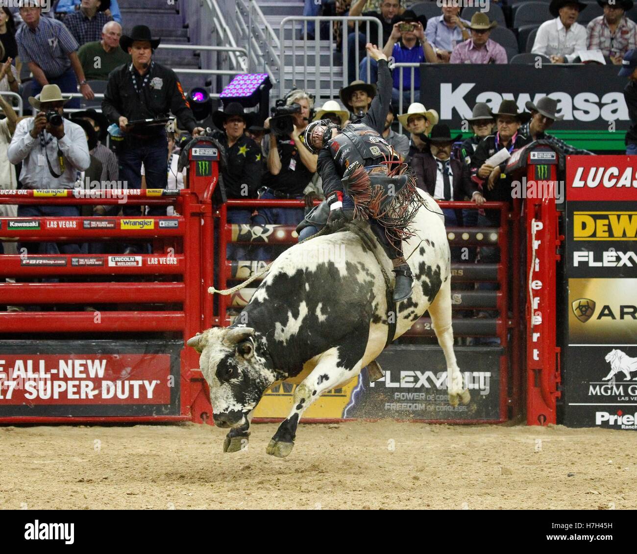 Las Vegas, NV, USA. 4th Nov, 2016. Cooper Davis and 'Hammer Down' the ...