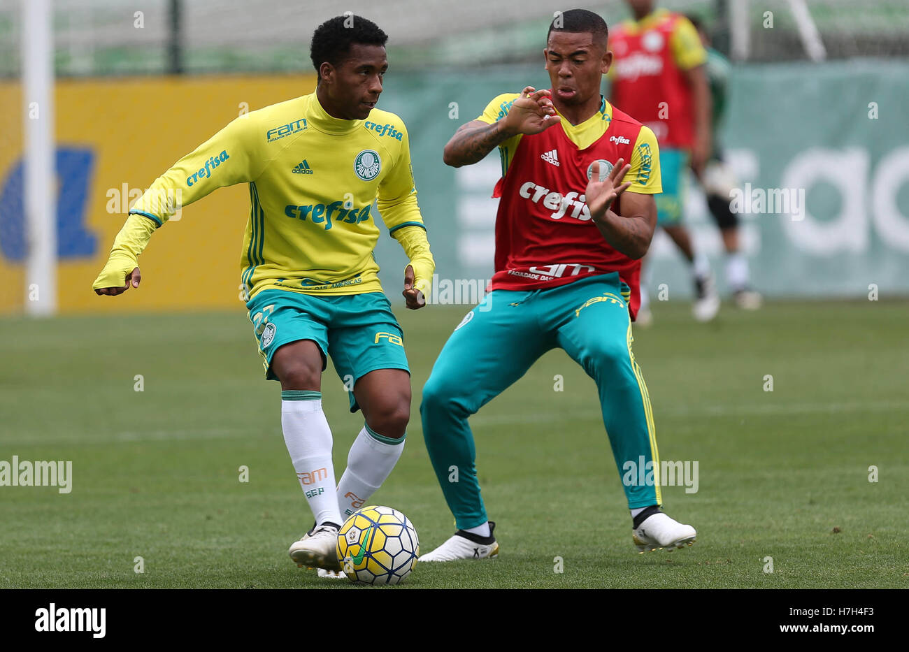 Sao Paulo, Brazil. 05th Nov, 2016. TREINO DO PALMEIRAS - Players ...