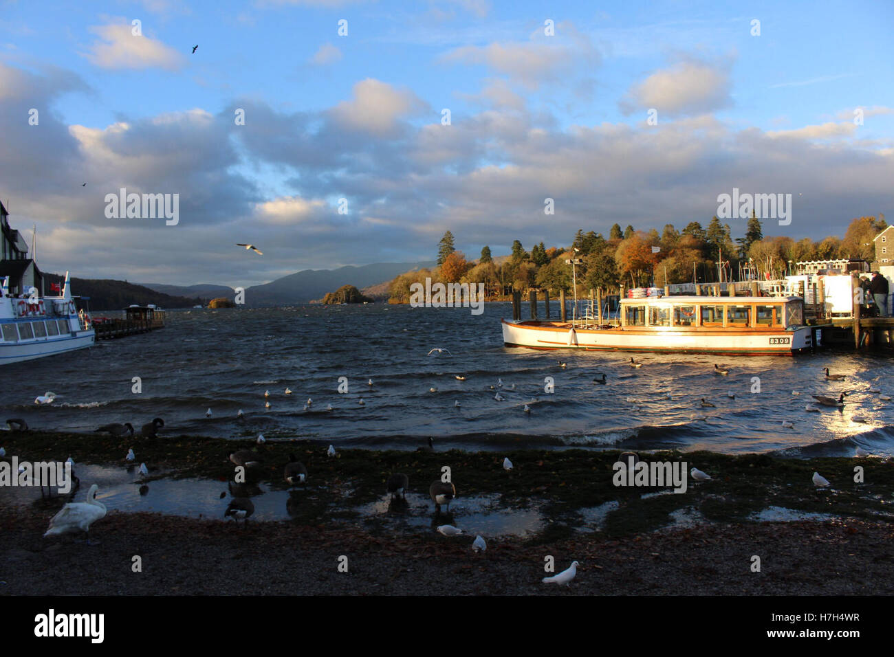 Bowness Bay Windermere Cumbria, United Kingdom. 5th Nov, 2016. Bowness ...