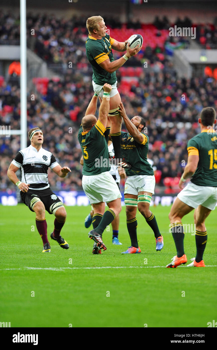 Springboks rugby hi-res stock photography and images - Alamy