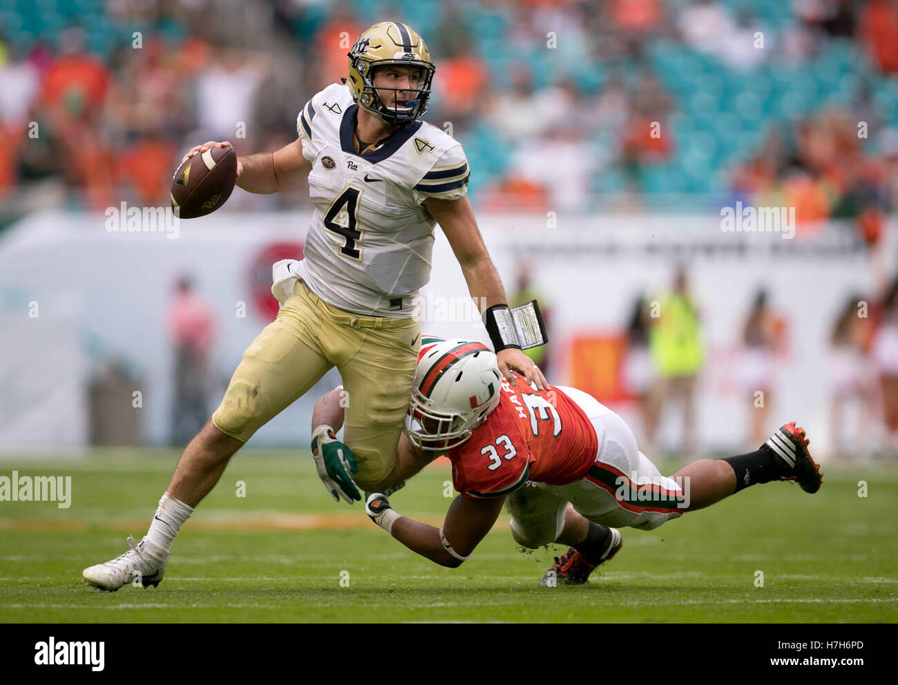 Pittsburgh panthers quarterback nathan peterman 4 hi-res stock ...