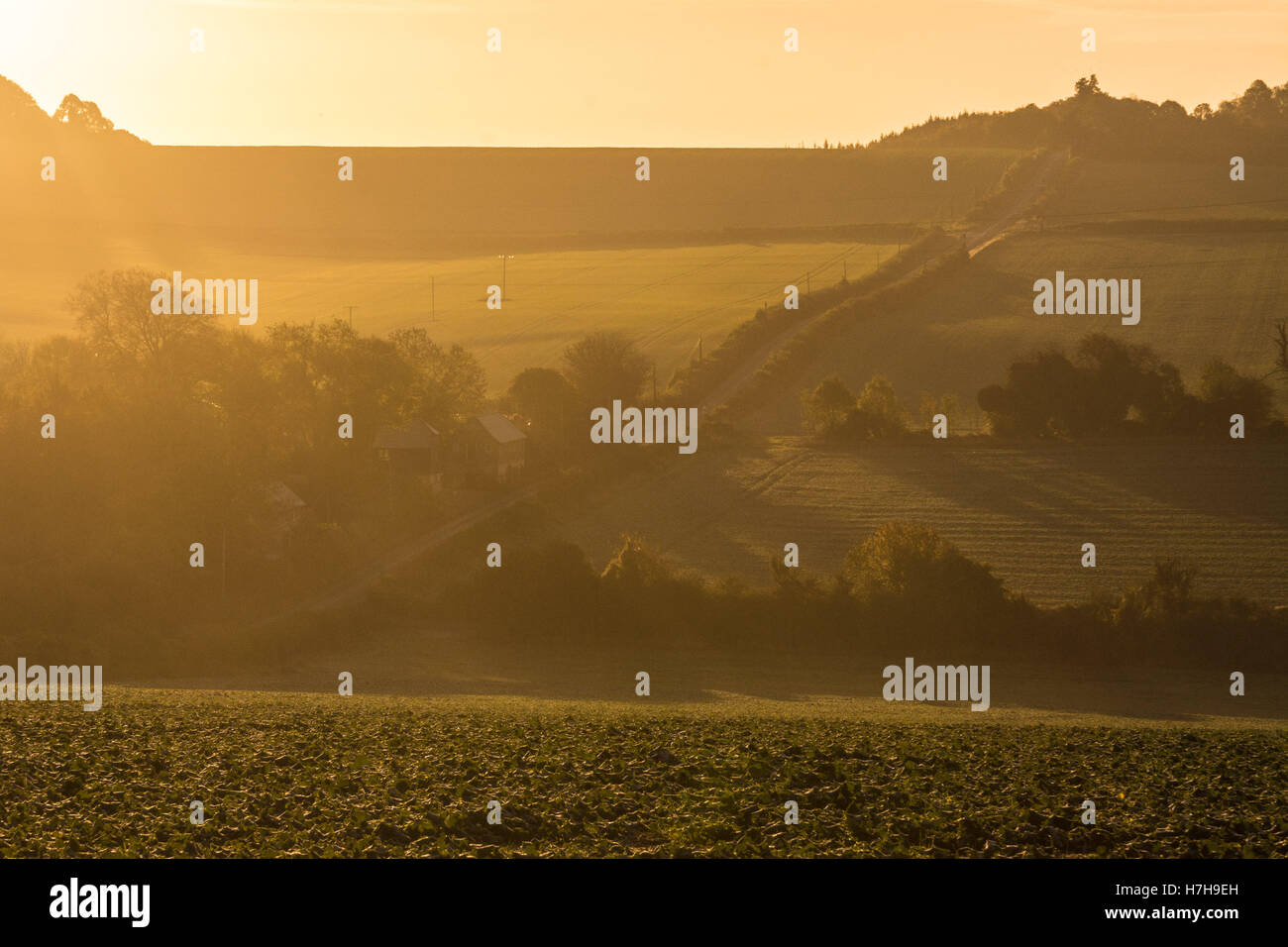 Hampshire, UK. 6th Nov, 2016. UK Weather: The sun rises over a frosty ...