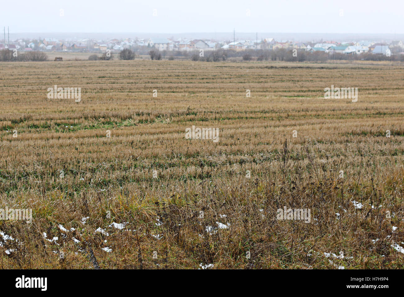 Fall field straw stack Stock Photo - Alamy
