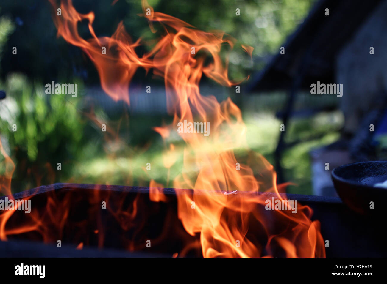 onion fry on fire outdoors Stock Photo - Alamy