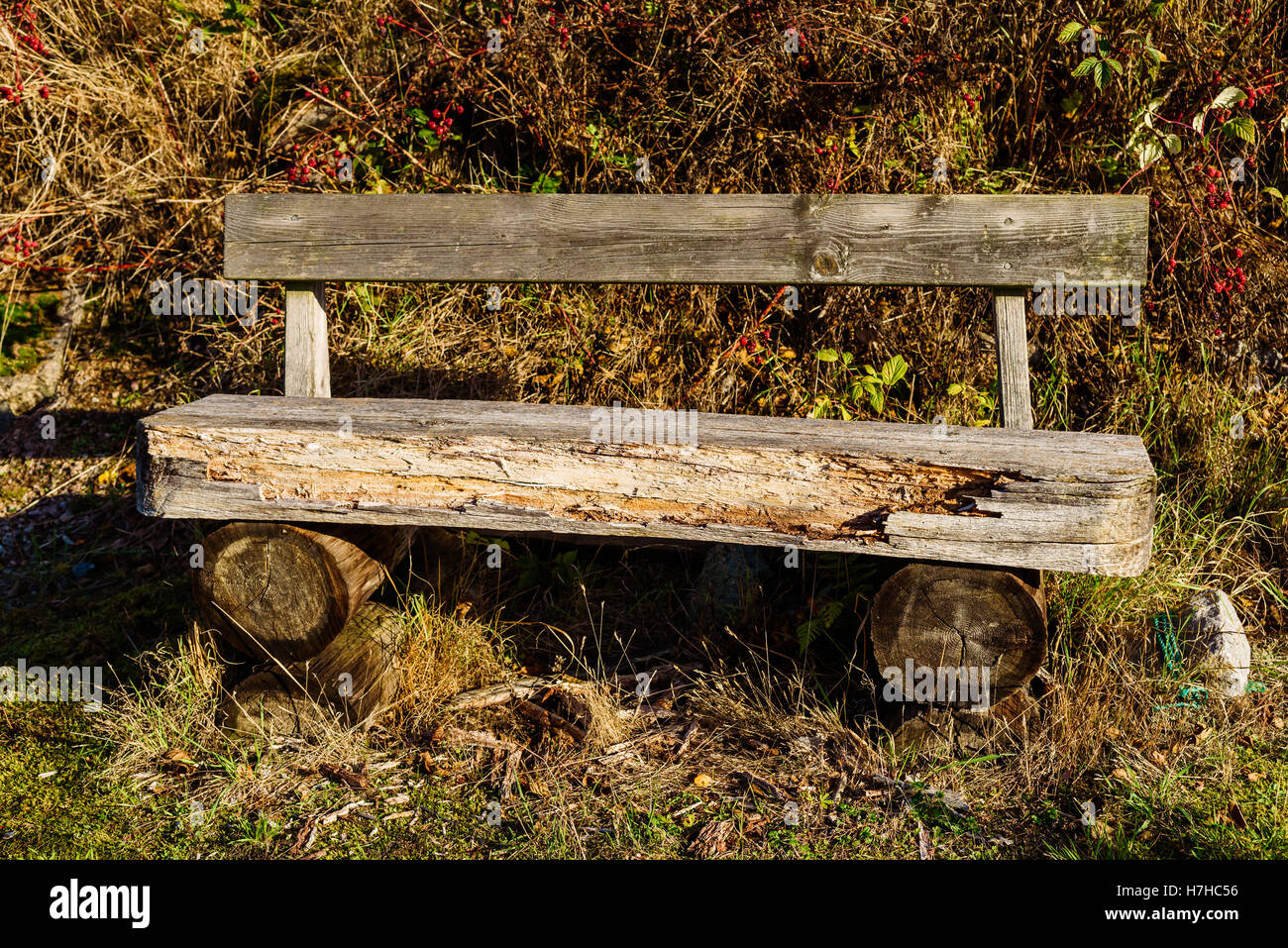 Log bench hi-res stock photography and images - Alamy