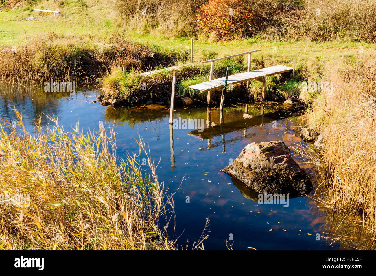 Small wooden pier in shallow stream in fall Stock Photo - Alamy