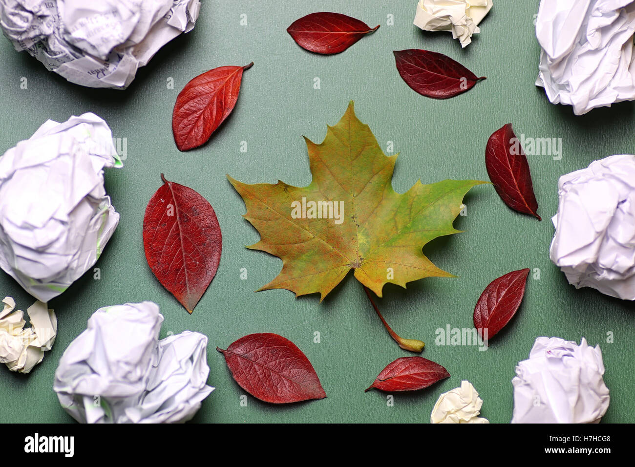 autumn leaf background on a green isolated table Stock Photo - Alamy