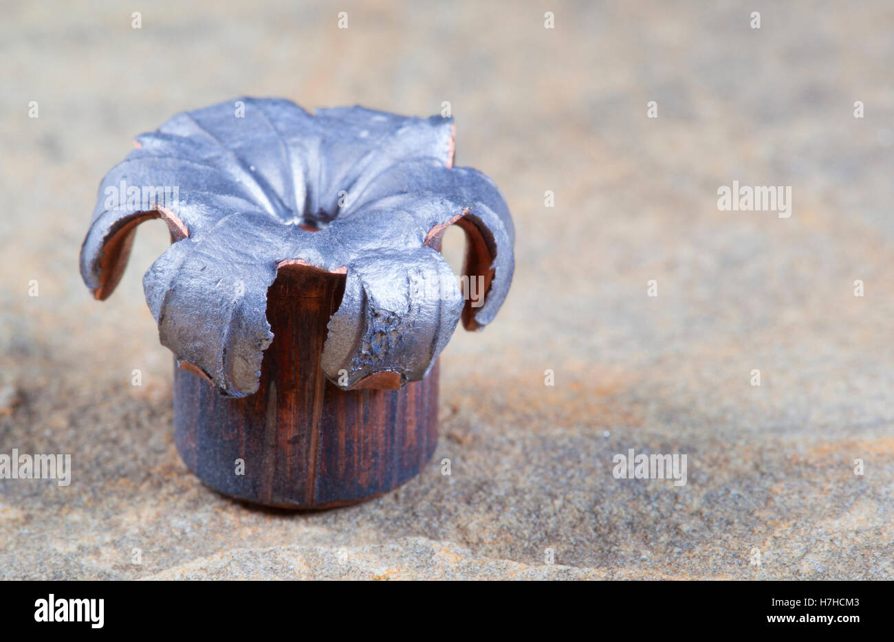 Hollow point bullet that has expanded on impact with a copper jacket ...