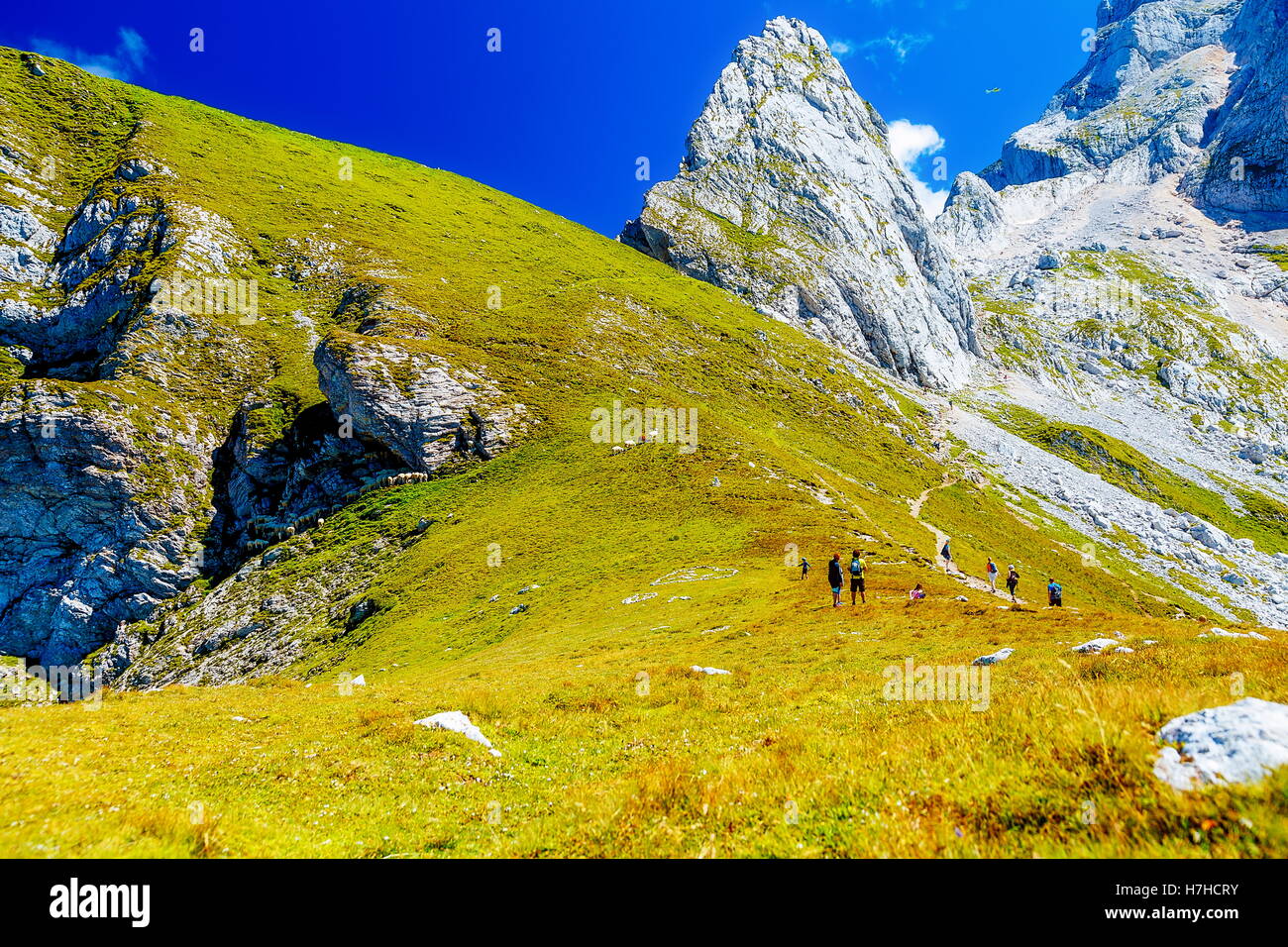 people trekking in beautiful alpine mountain landscape on summer day ...