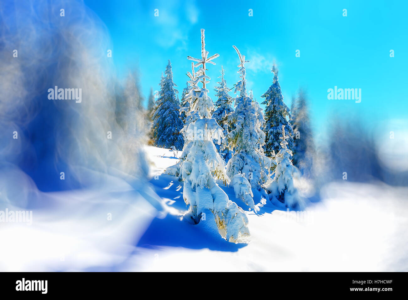Beautiful snowy landscape and Blur effect. Blur background Stock Photo ...