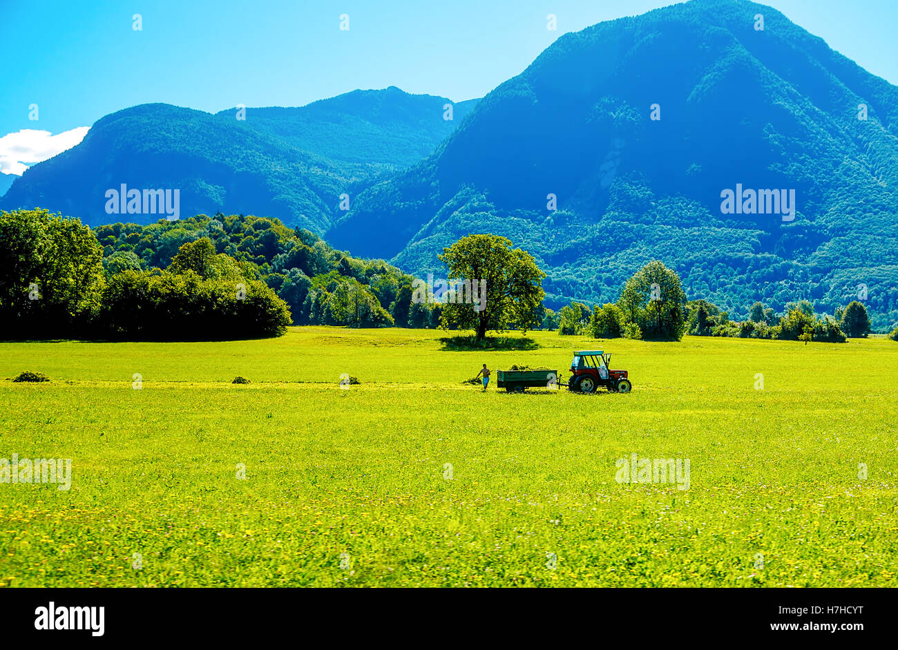 Tractor on green meadow and beautiful Alpine mountains in the ...