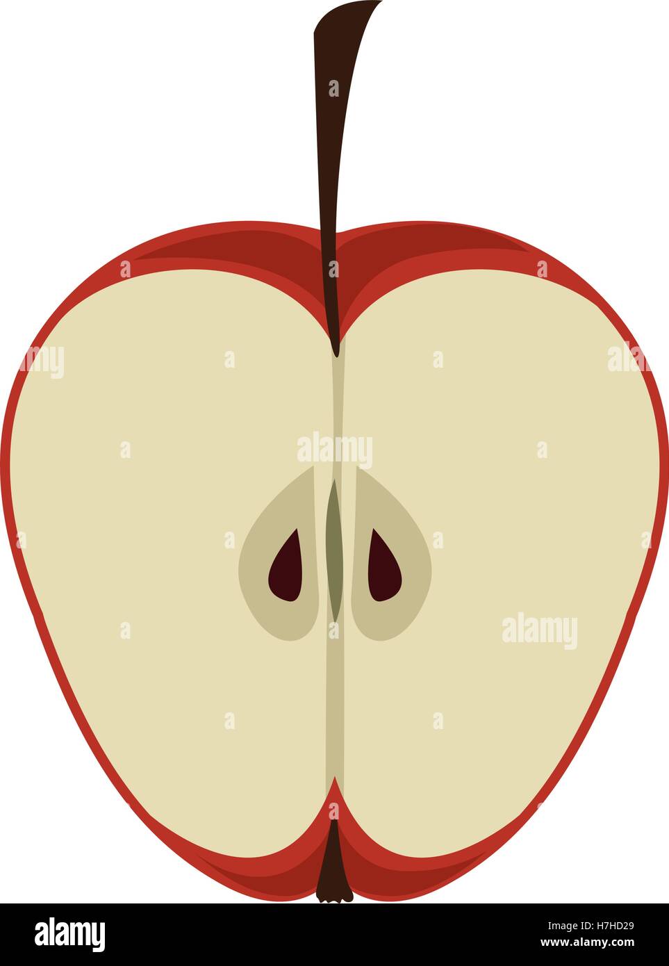 slice of apple fruit icon. healthy food design. vector illustration ...