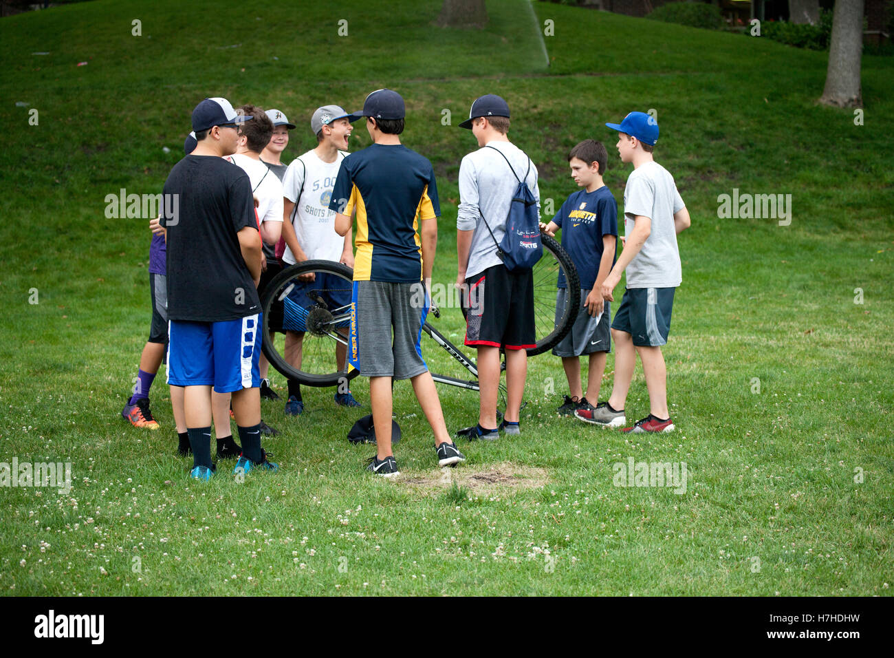 Group of teenage boys in park having an animated discussion about the ...