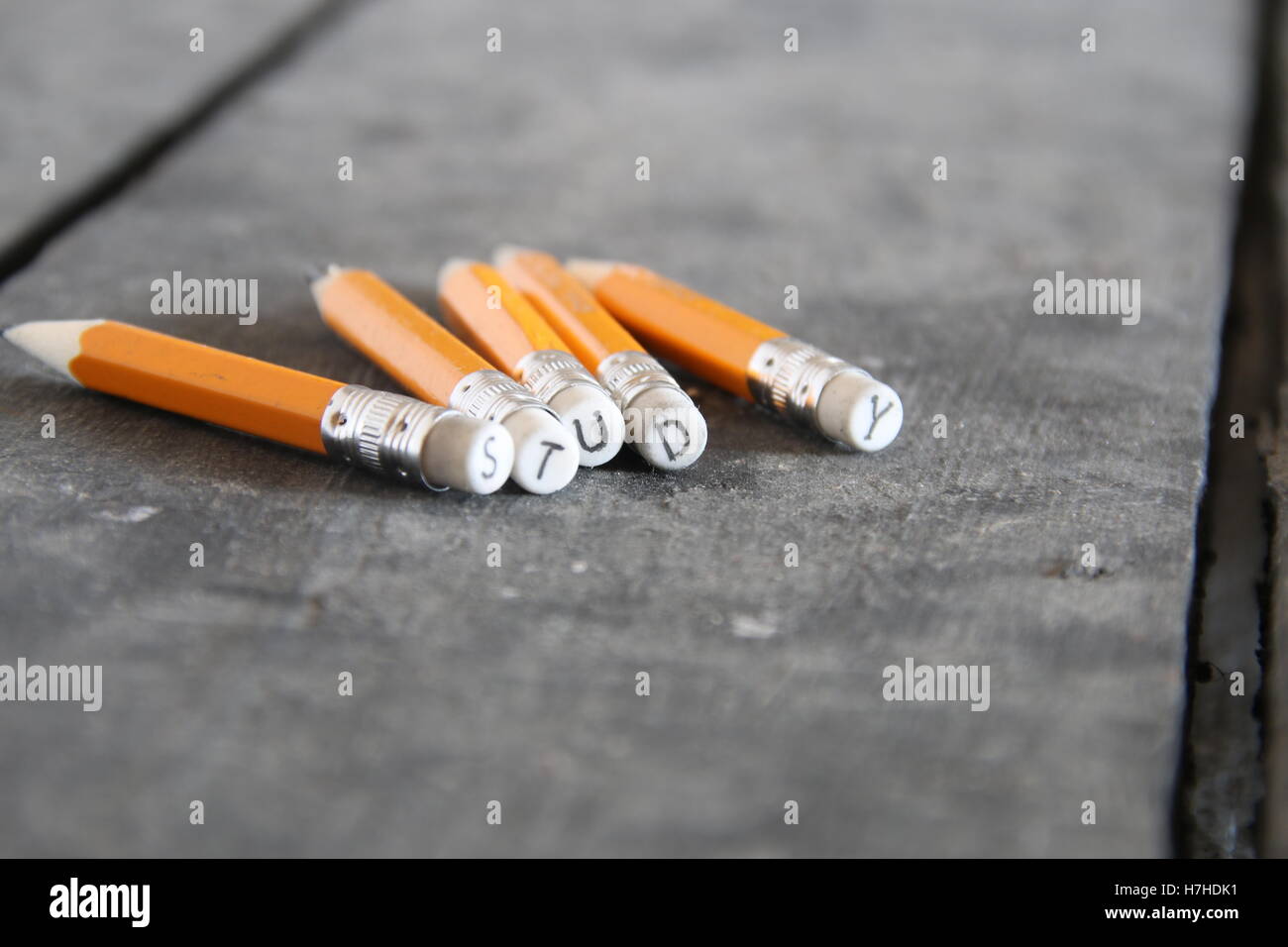 Study skills hi-res stock photography and images - Alamy