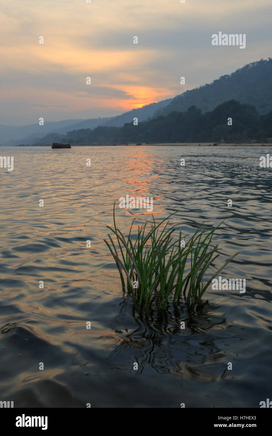 Galibore (Karnataka, India Stock Photo - Alamy