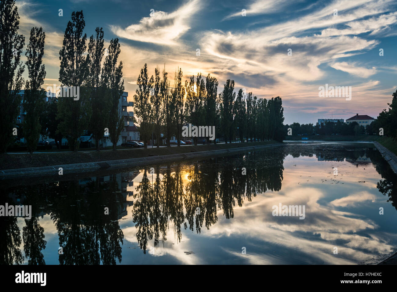 Poplar trees reflected in the river Bosut, Vinkovci, Slavonija, Croatia ...