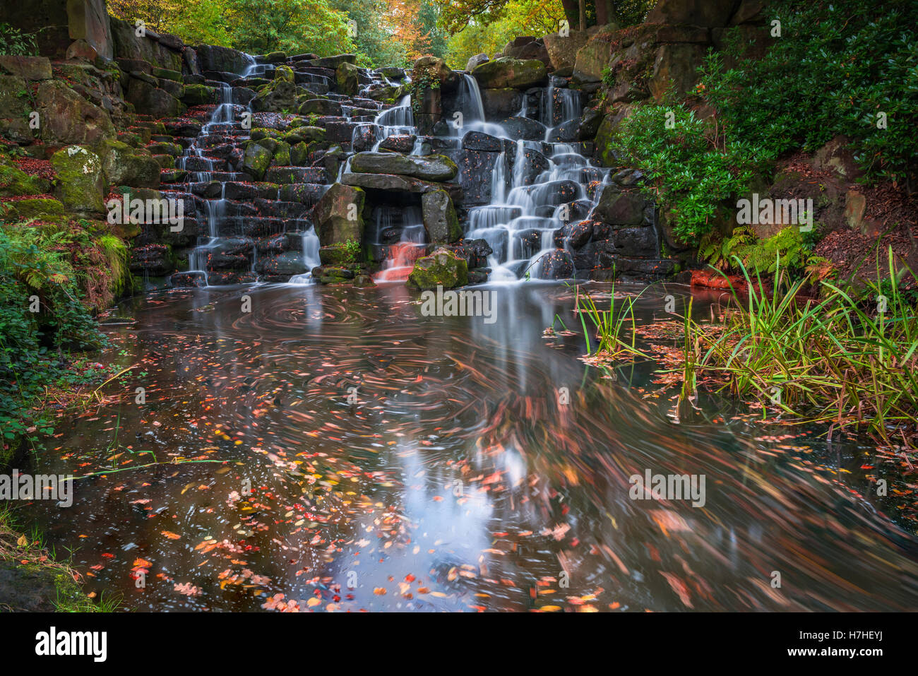 A cascade in Virginia Water in the fall colors, Surrey, UK - slow ...