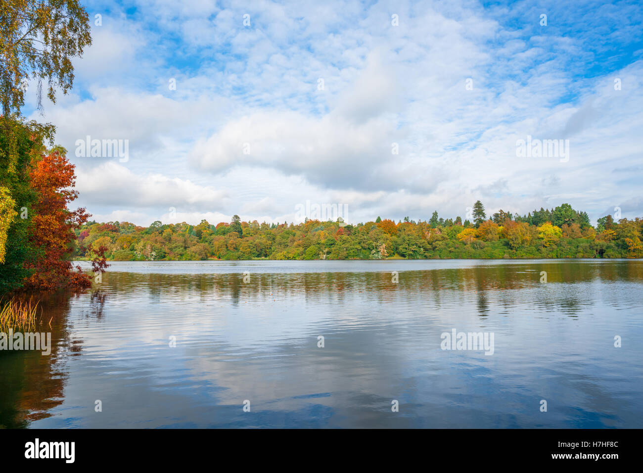 A lake in Virginia Water in Surrey in fall colors, UK Stock Photo - Alamy