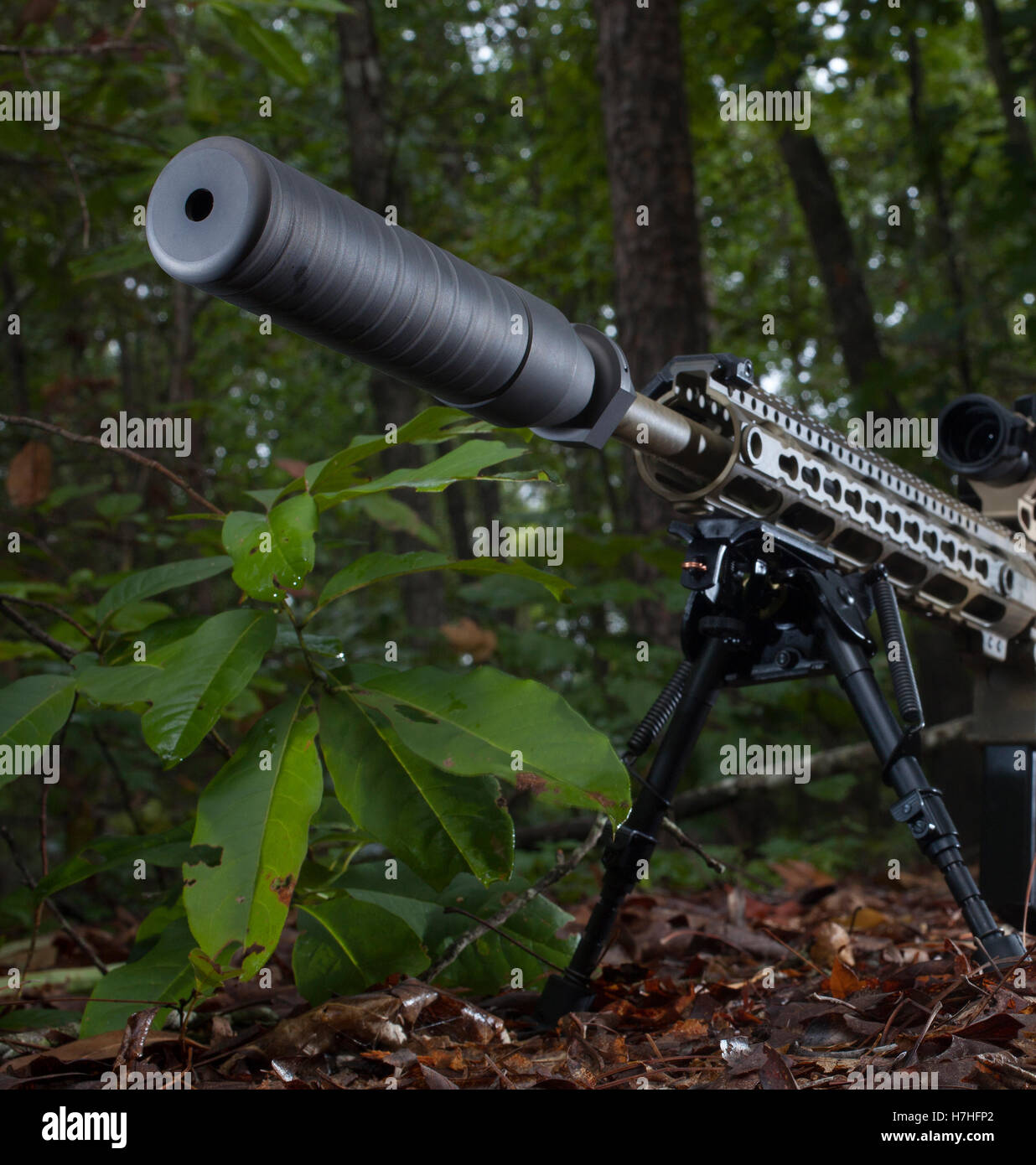Silencer at the end of a sniper rifle in a forest Stock Photo - Alamy