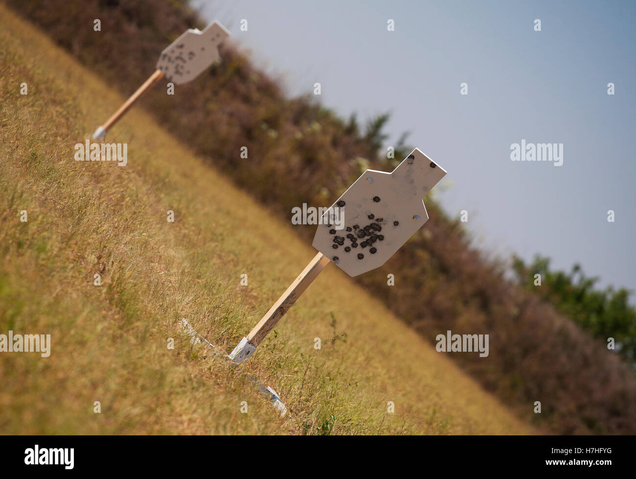 Steel targets on wood pedestals that are used for shooting practice ...