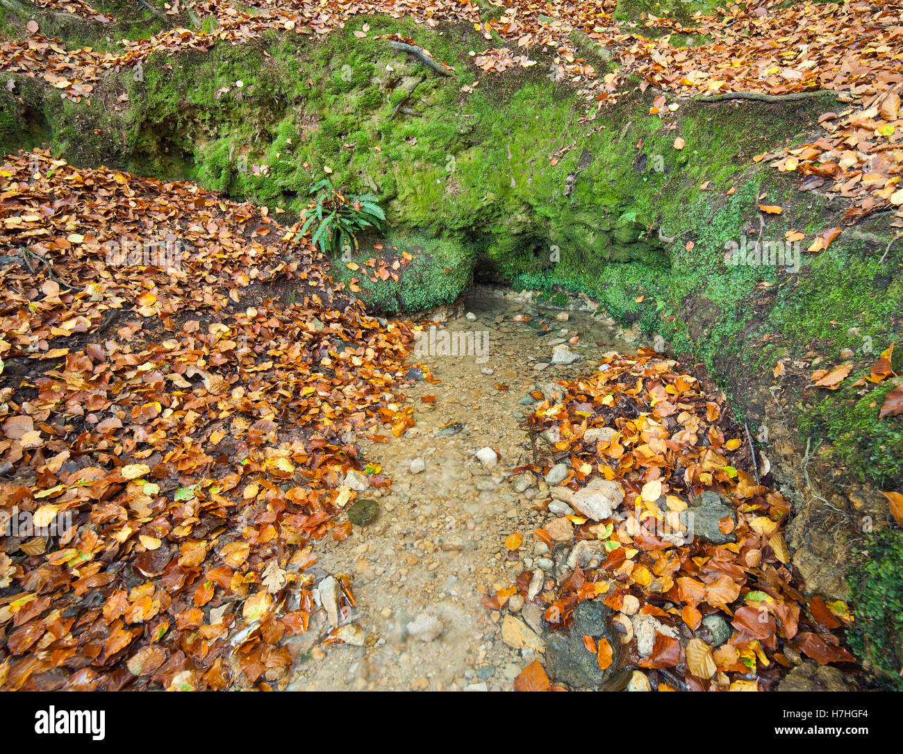Spring water groundwater hi-res stock photography and images - Alamy