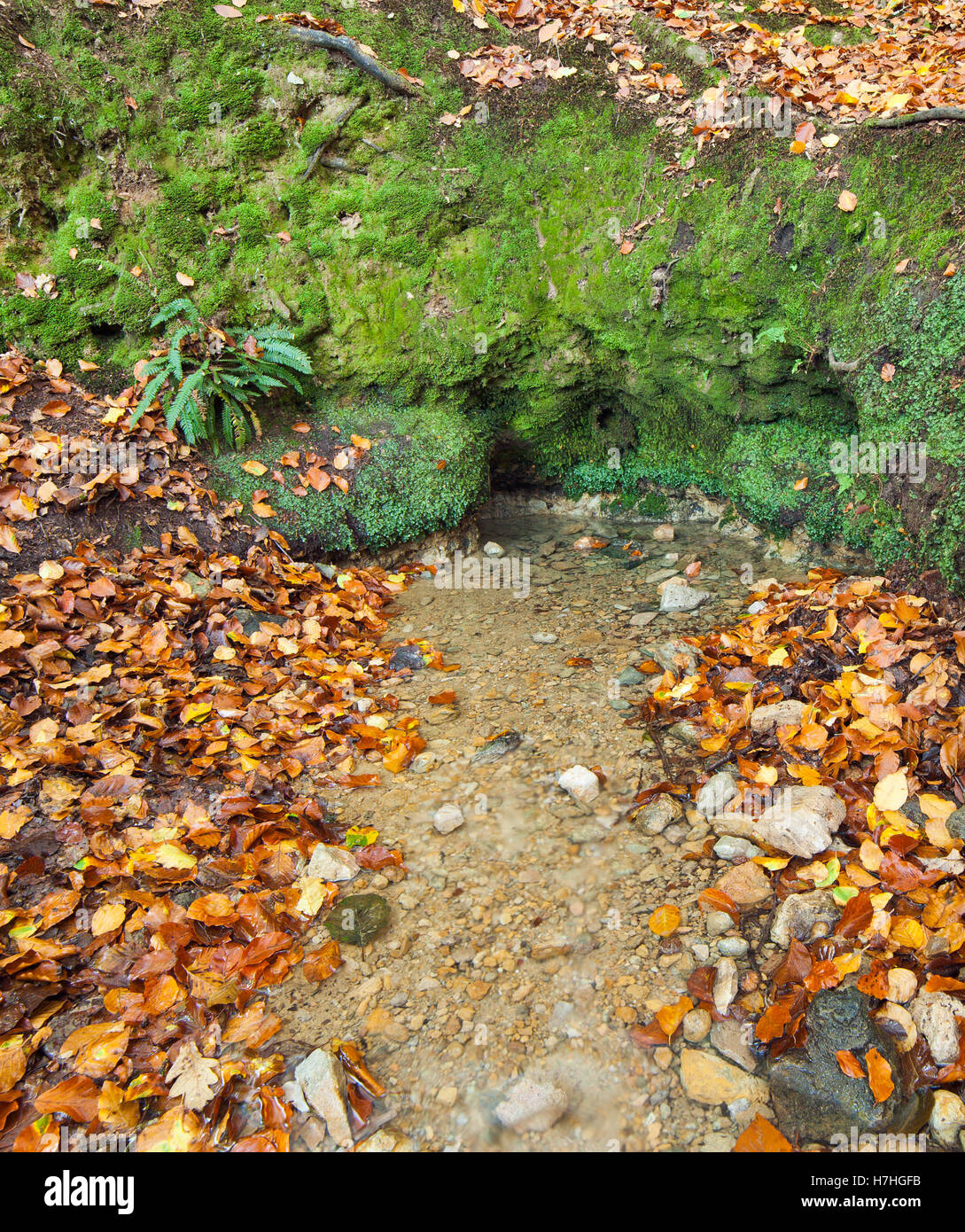 Spring water groundwater hi-res stock photography and images - Alamy