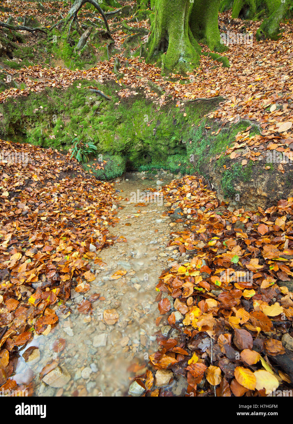 Pure spring water hi-res stock photography and images - Alamy