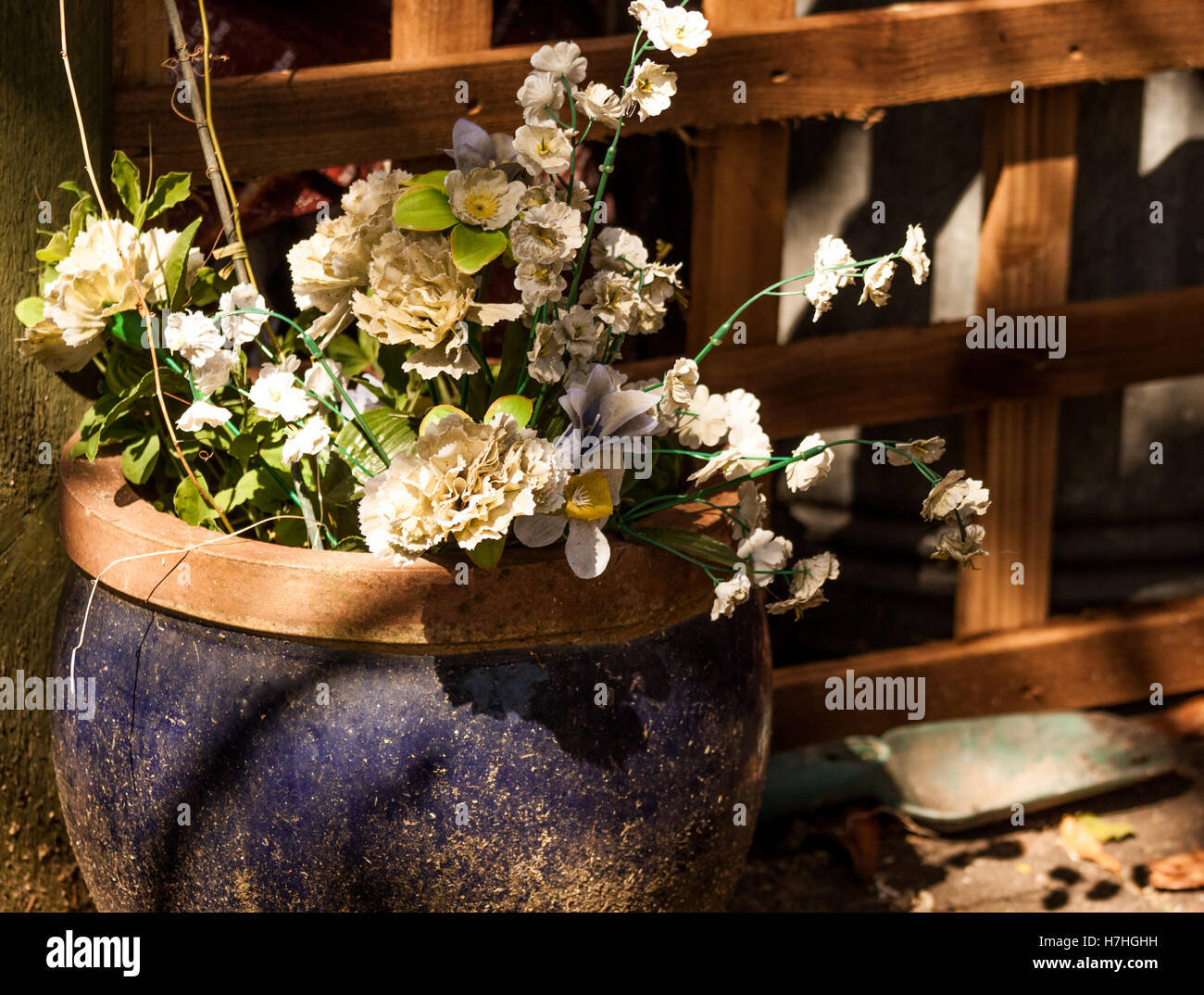 Shadow pot plant hi-res stock photography and images - Alamy