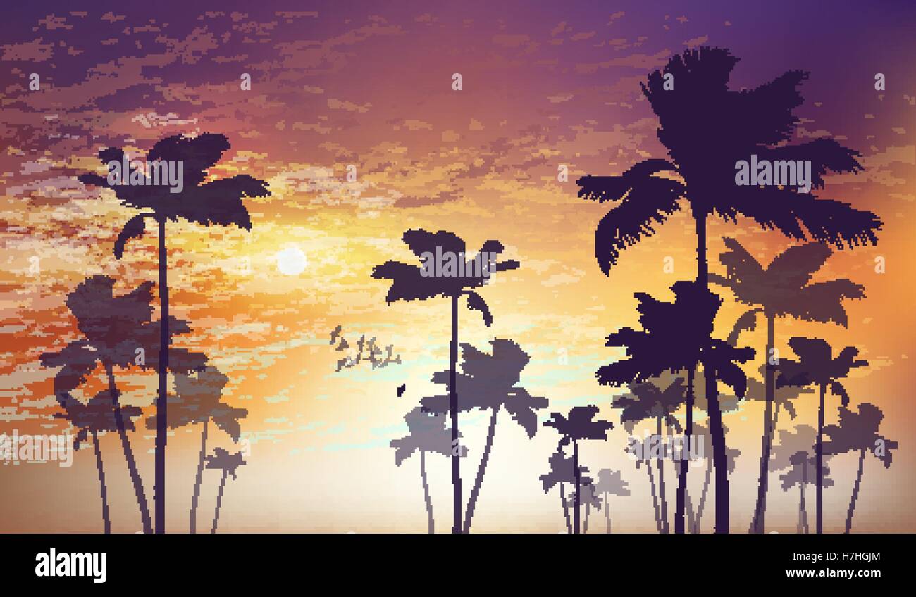 Silhouette of tropical palm trees at sunset or sunrise, with cloudy sky ...