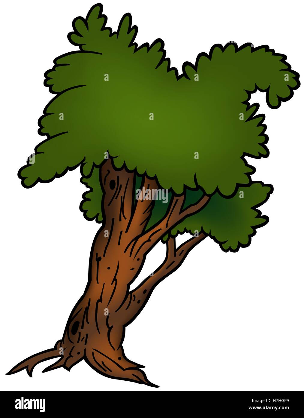 Deciduous tree colored cartoon illustration Stock Vector Images - Alamy