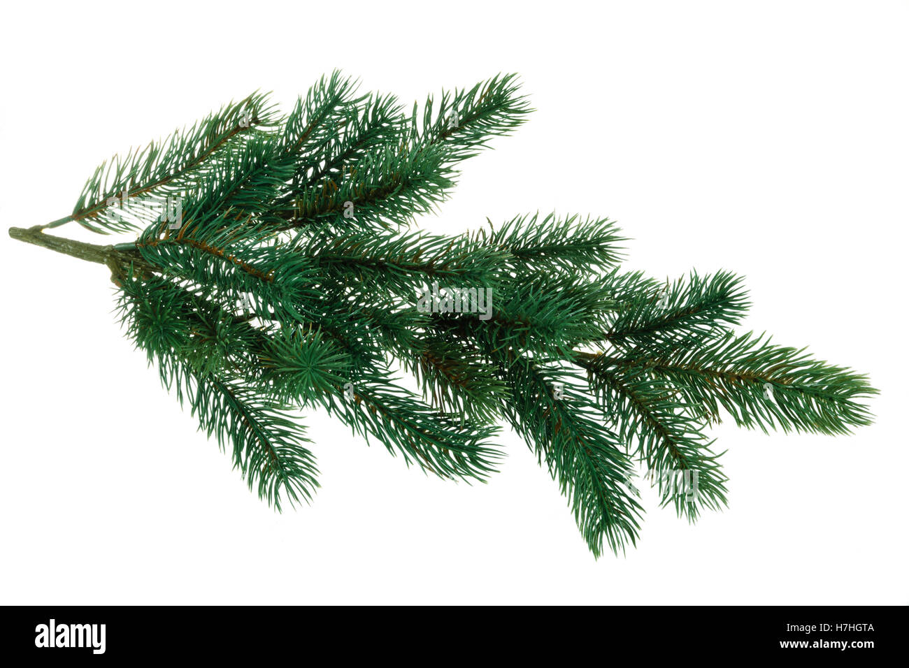 Branch christmas fir tree snow Cut Out Stock Images & Pictures - Alamy