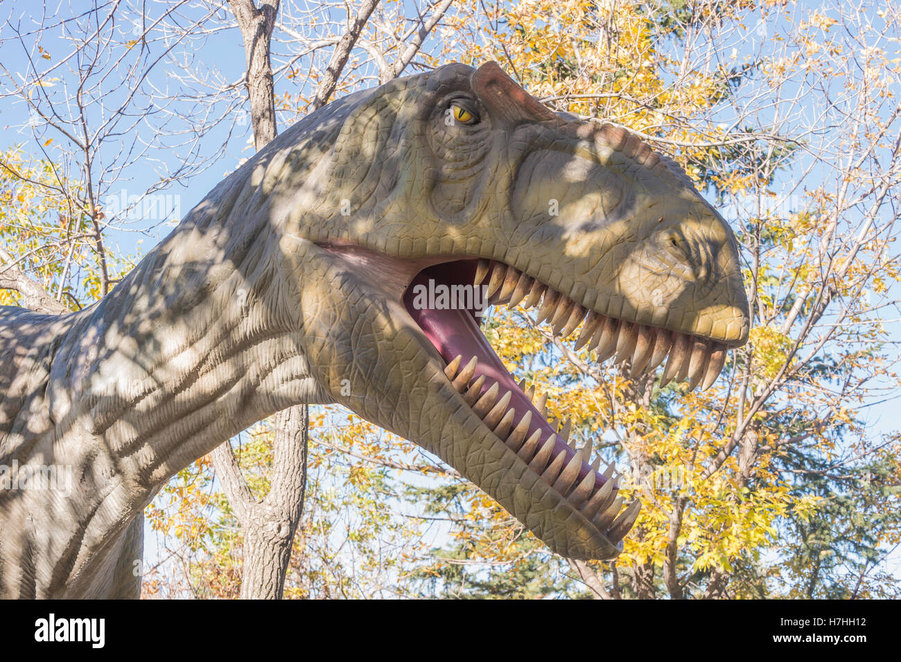 Allosaurus, reconstruction model of largest North American predator ...