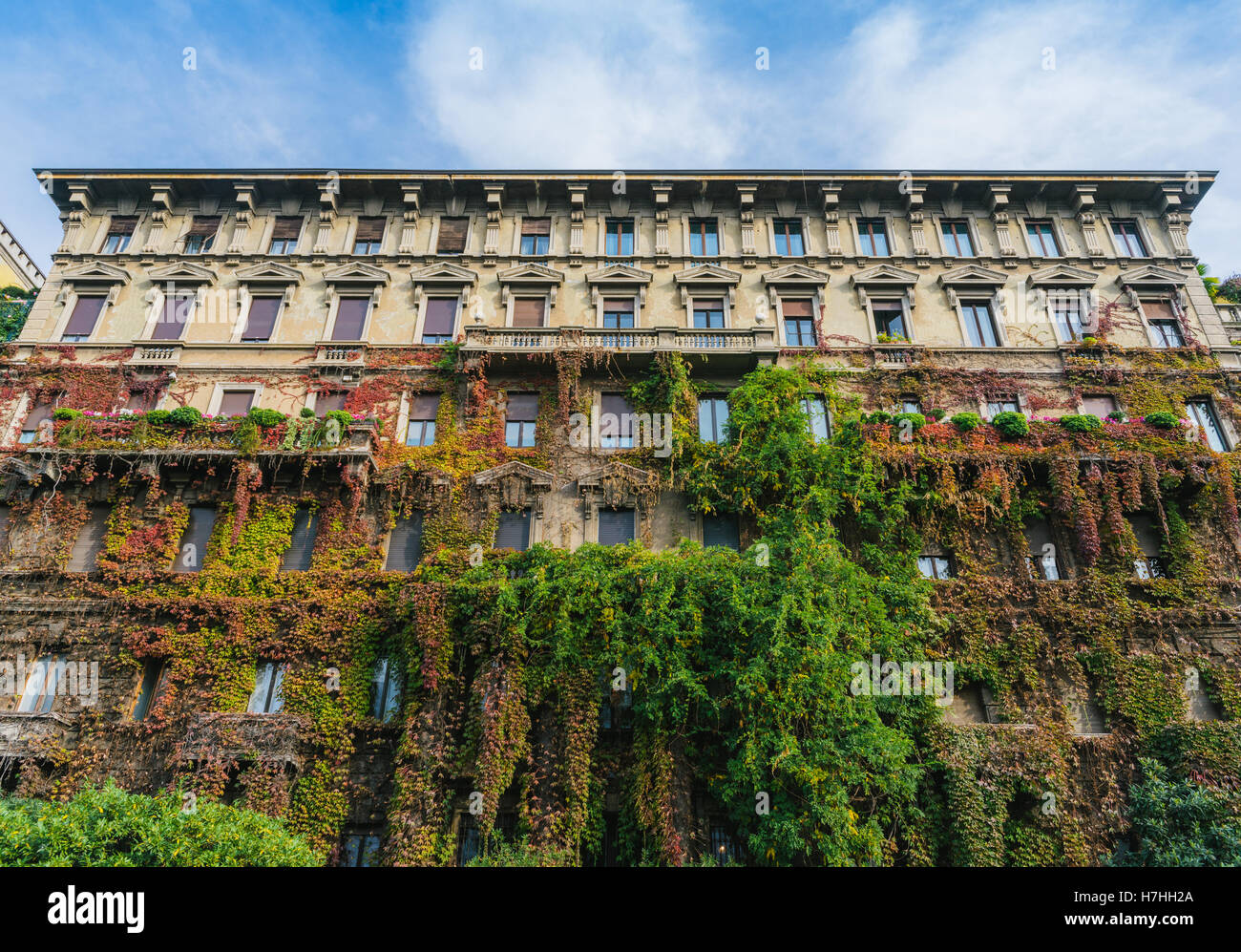 Old green building covered with ivy in Milan city Stock Photo - Alamy