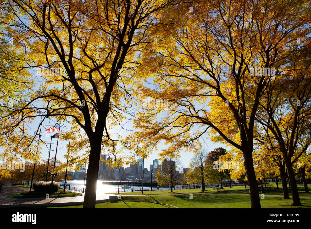 Fall foliage, Piers Park, Boston, Massachusetts Stock Photo - Alamy