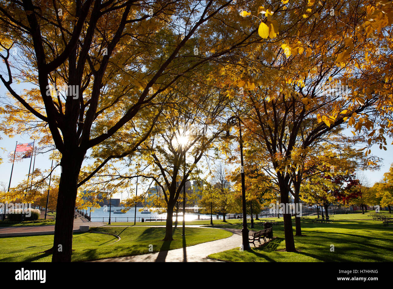 Fall foliage, Piers Park, Boston, Massachusetts Stock Photo - Alamy