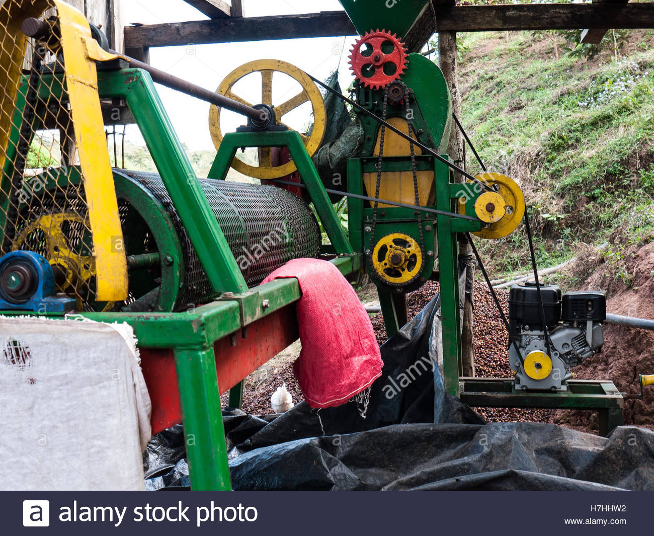 Coffee Processing High Resolution Stock Photography and Images - Alamy