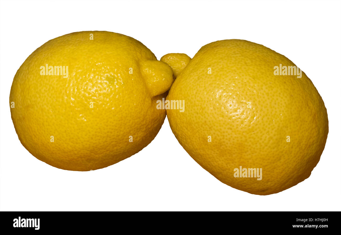 Two yellow whole unpeeled lemons Stock Photo - Alamy