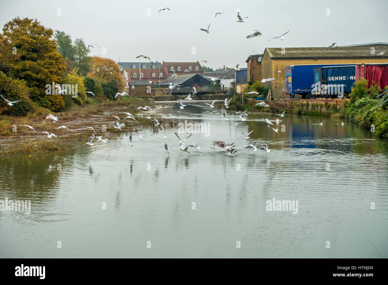 Faversham Creek at High Tide in Autumn Faversham Kent England Stock ...