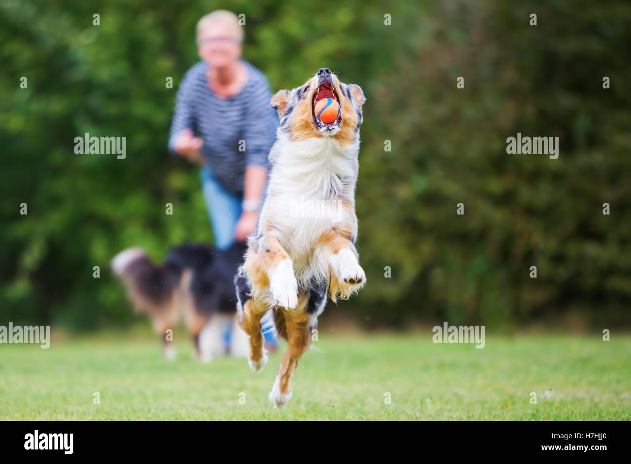 Retrieve the ball hi-res stock photography and images - Alamy