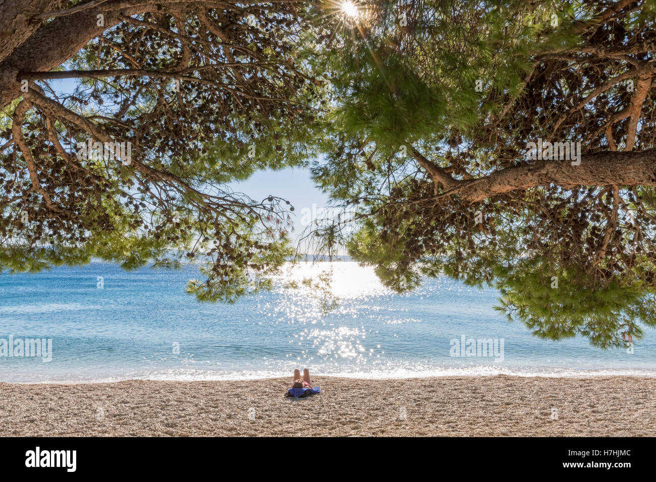 Sunbathing under the pine tree Stock Photo - Alamy
