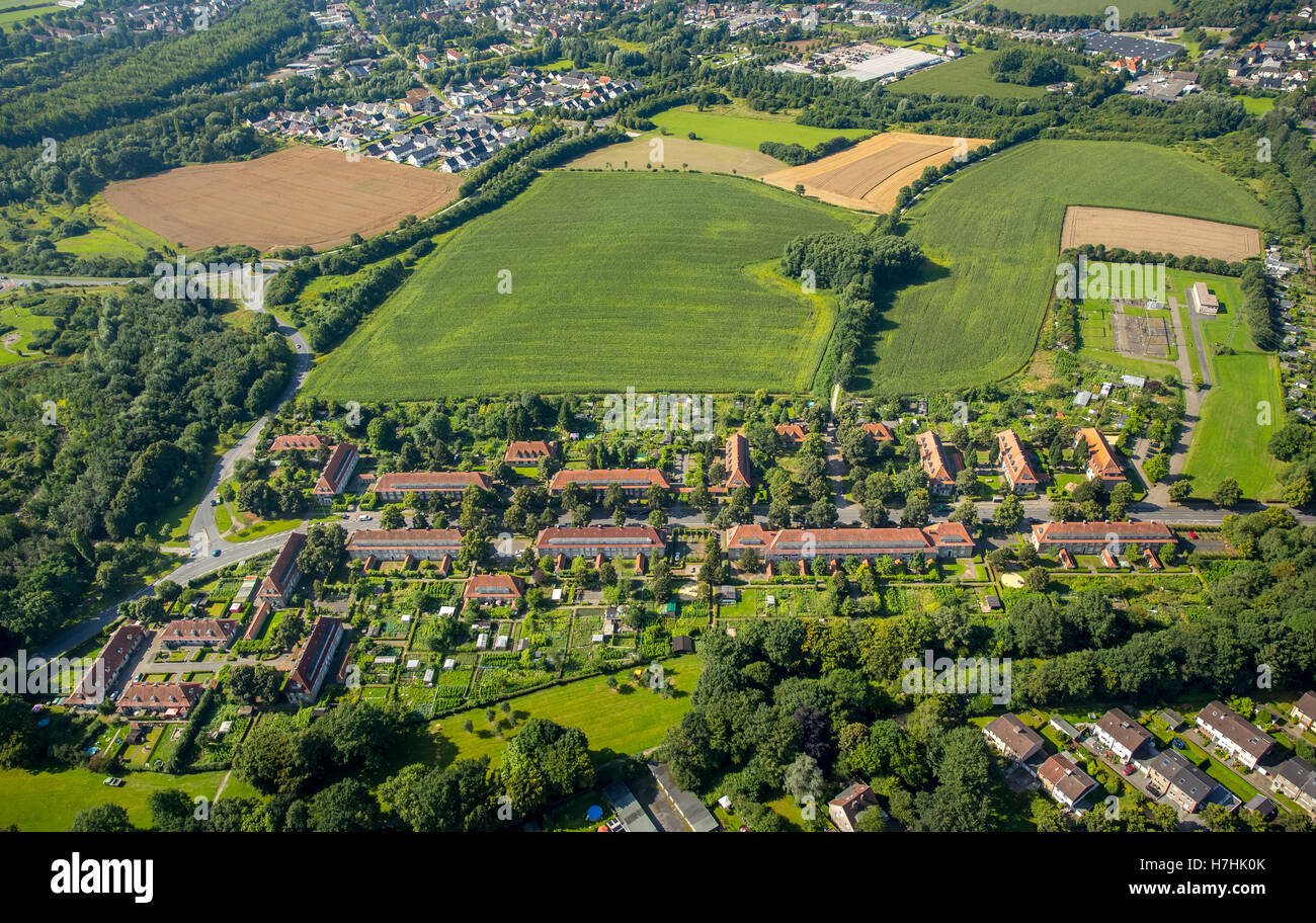 Aerial view, Hamm settlement Vogelsang Heessen, housing estate for ...