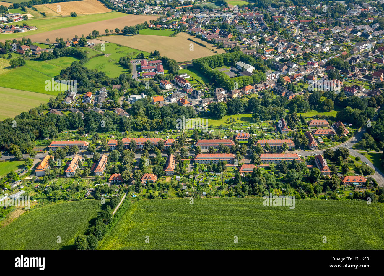 Aerial view, Hamm settlement Vogelsang Heessen, housing estate for ...