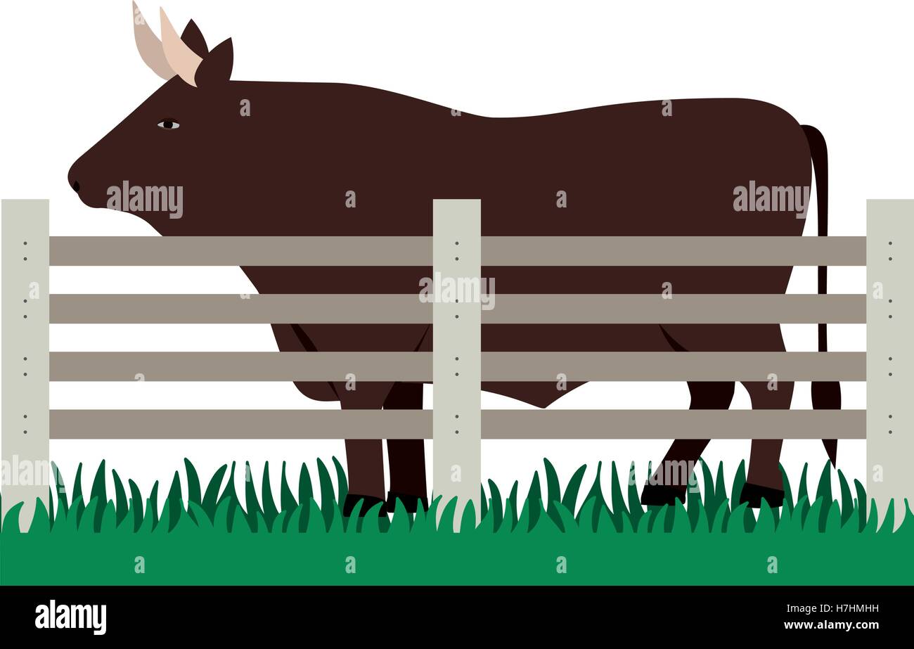 bull pig icon inside fence over white background. farm animal design ...