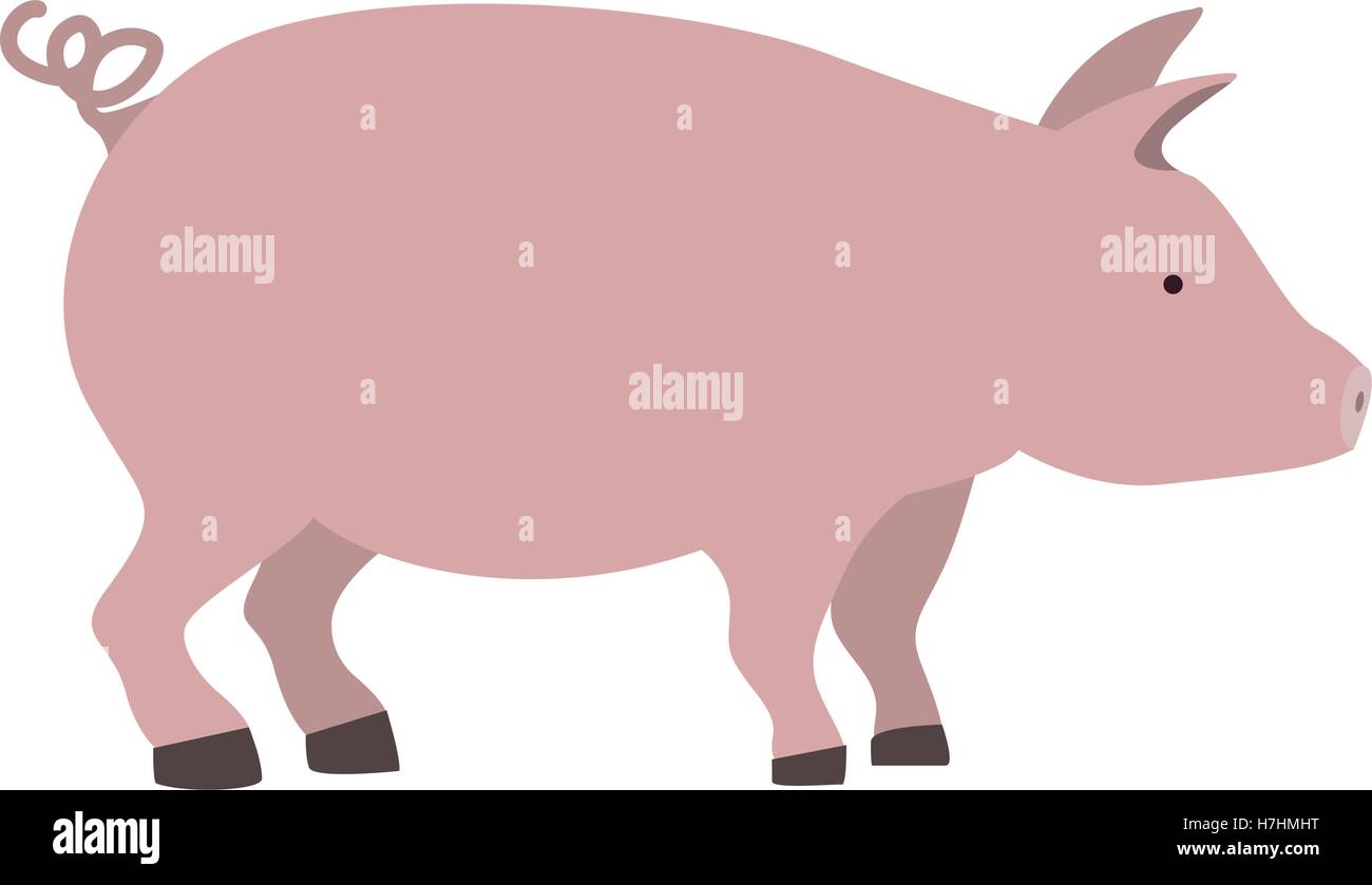 pink pig icon over white background. farm animal design. vector ...